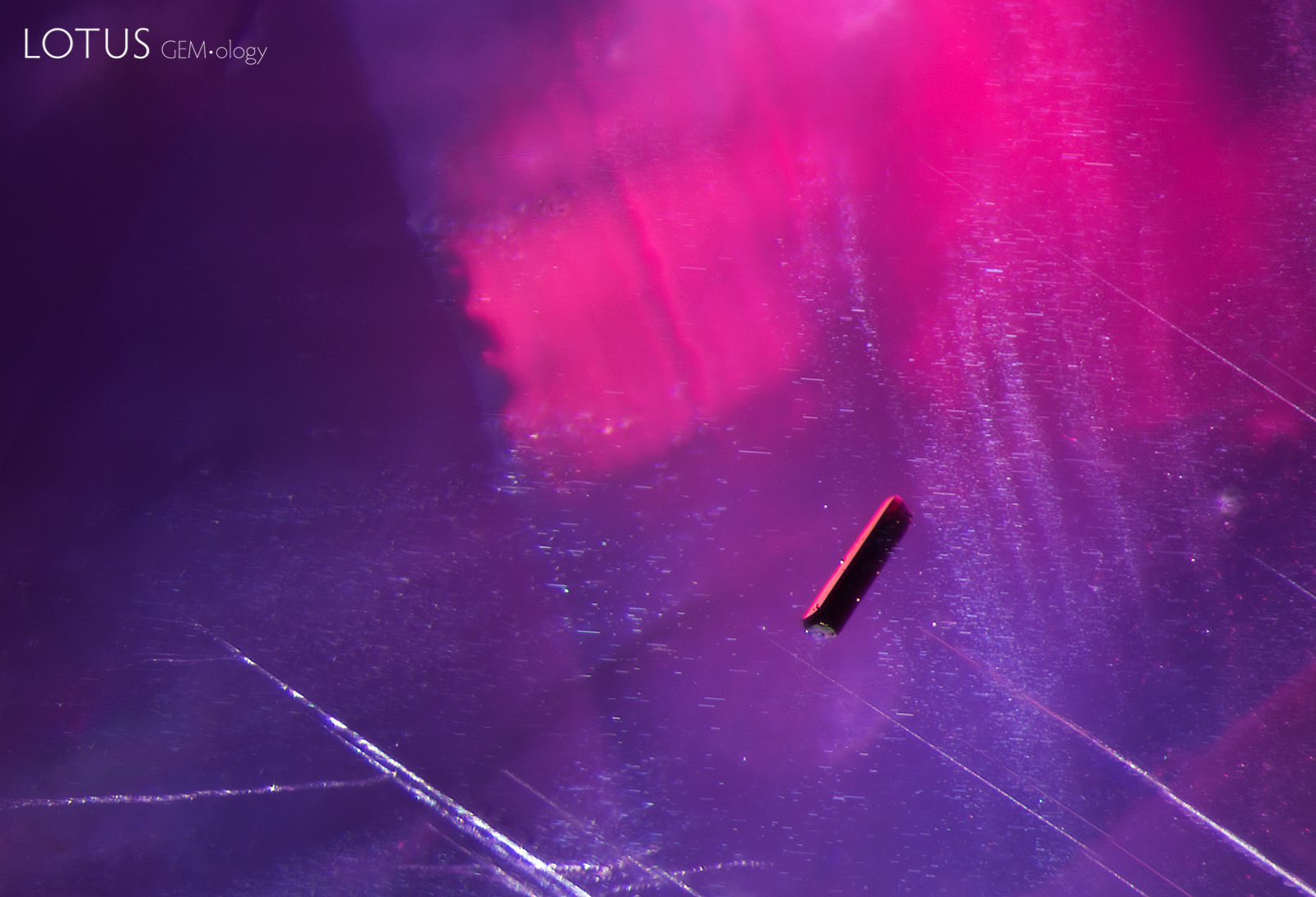 Hyperion • Inclusion Search Engine • Lotus Gemology | LotusGemology.com