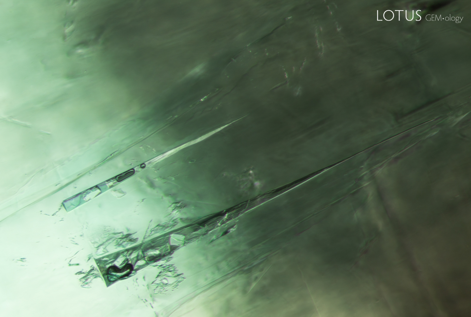 Hyperion • Inclusion Search Engine • Lotus Gemology | LotusGemology.com
