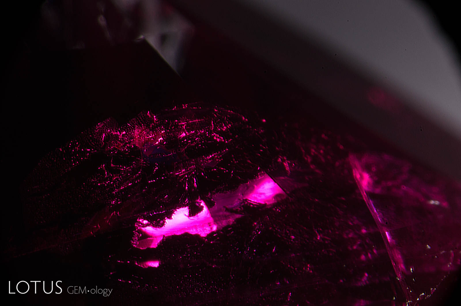 Hyperion • Inclusion Search Engine • Lotus Gemology | LotusGemology.com