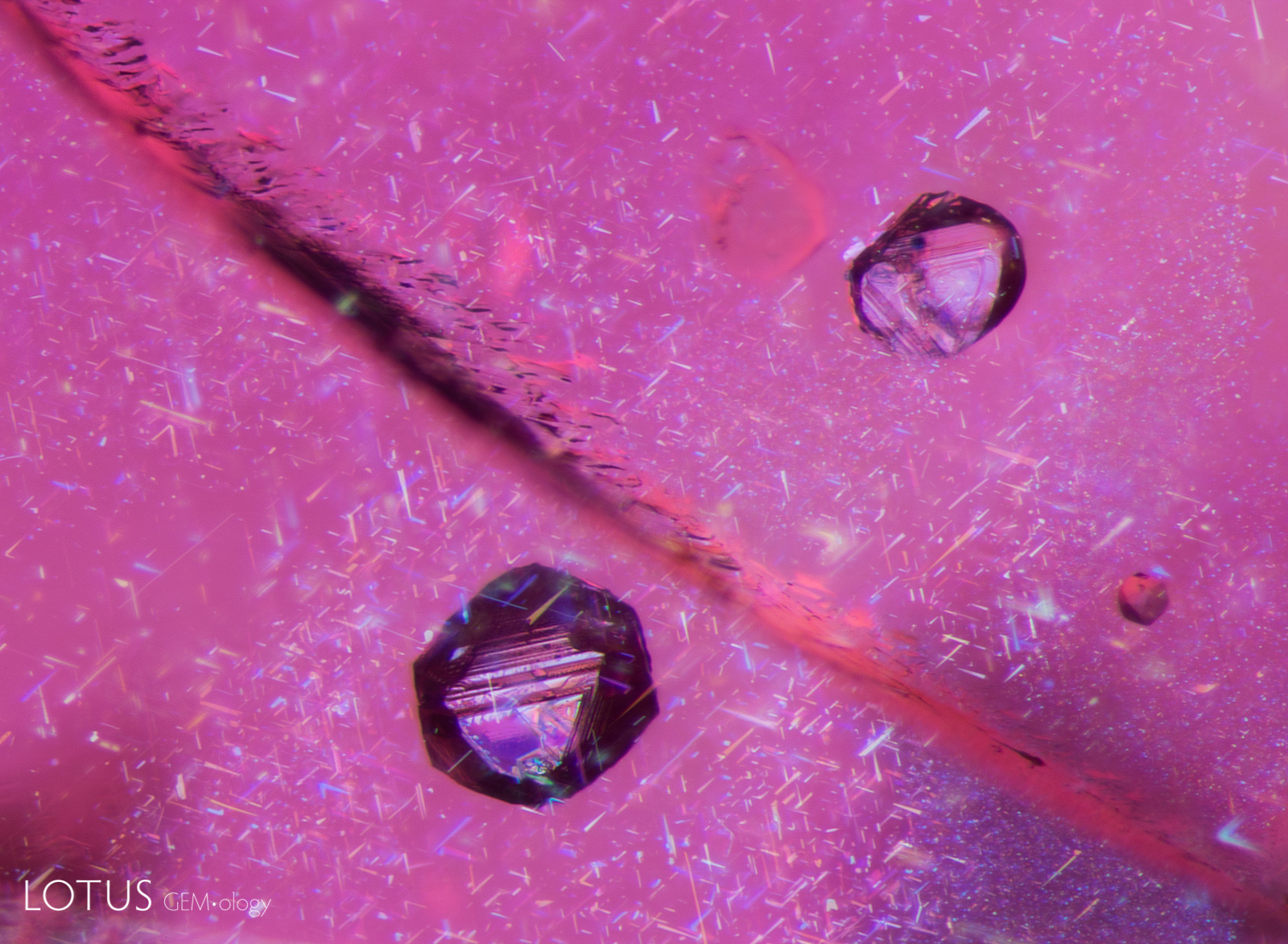 Hyperion • Inclusion Search Engine • Lotus Gemology | LotusGemology.com