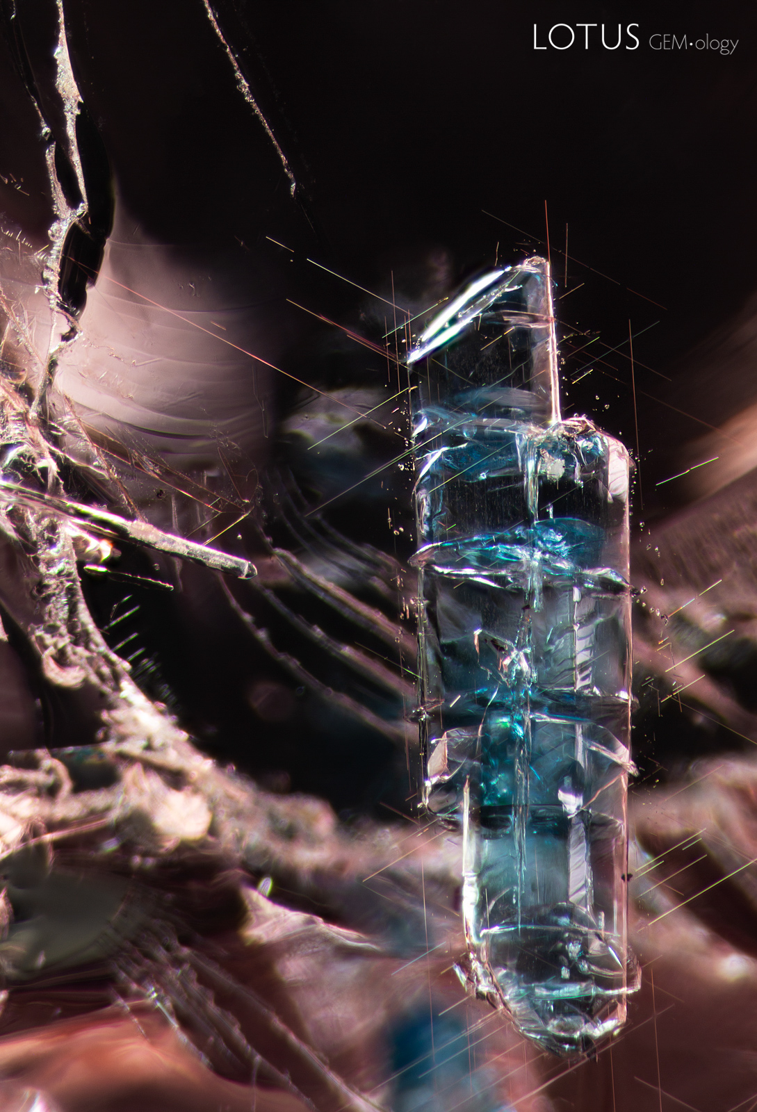 Hyperion • Inclusion Search Engine • Lotus Gemology | LotusGemology.com